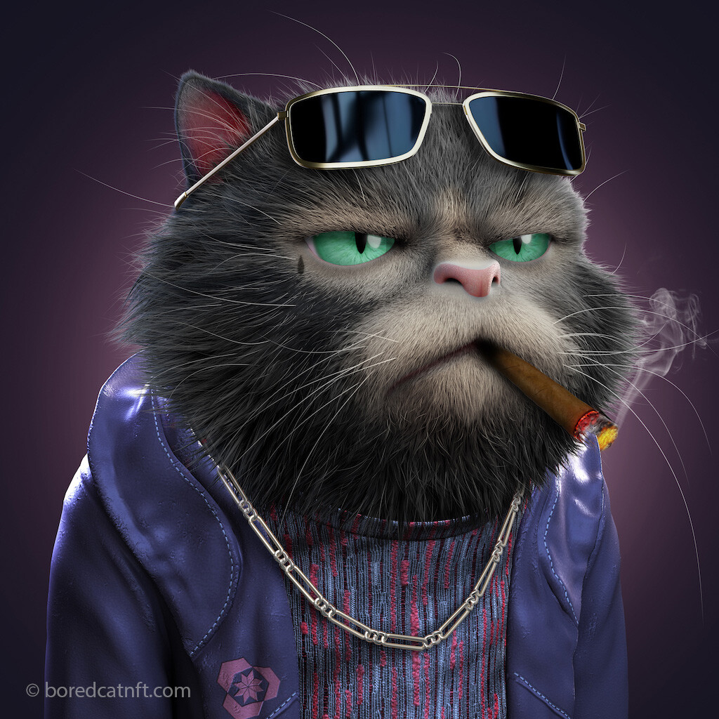 bored cat nft