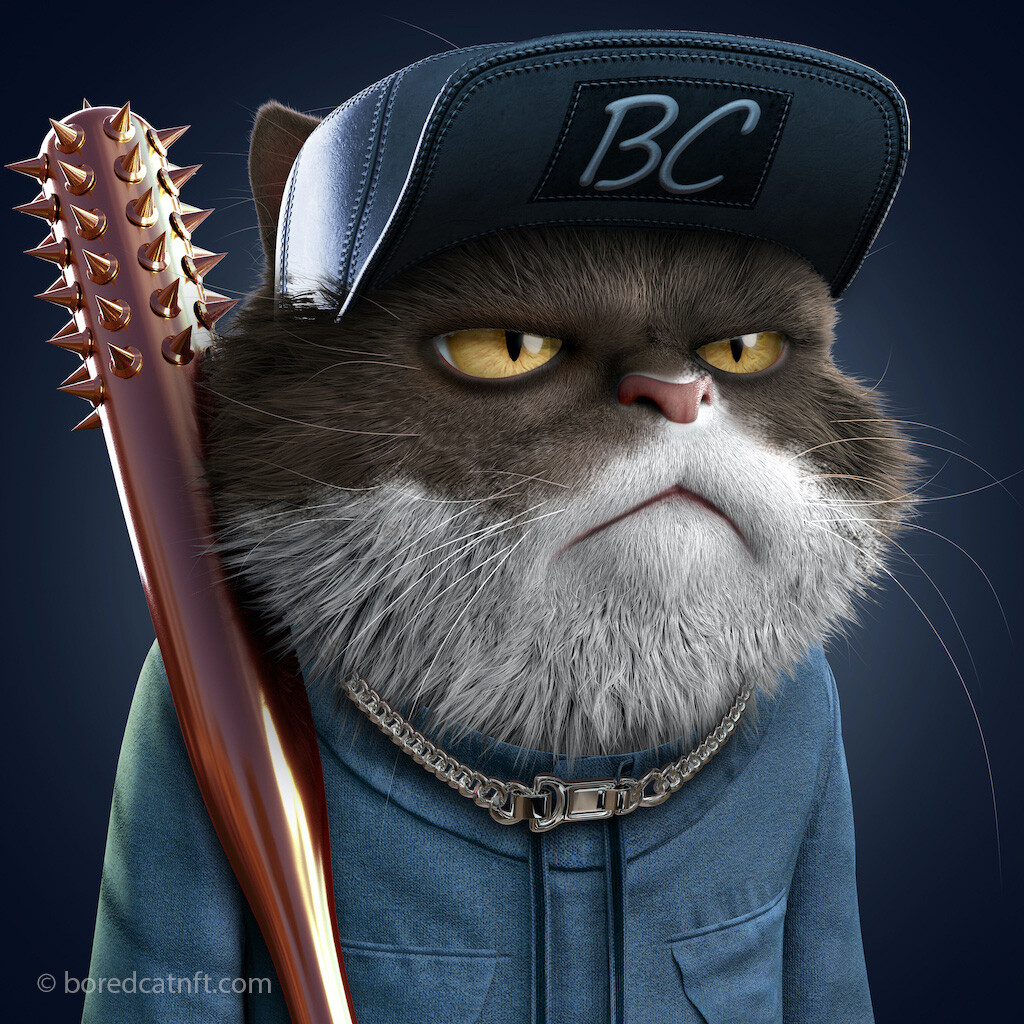 bored cat nft