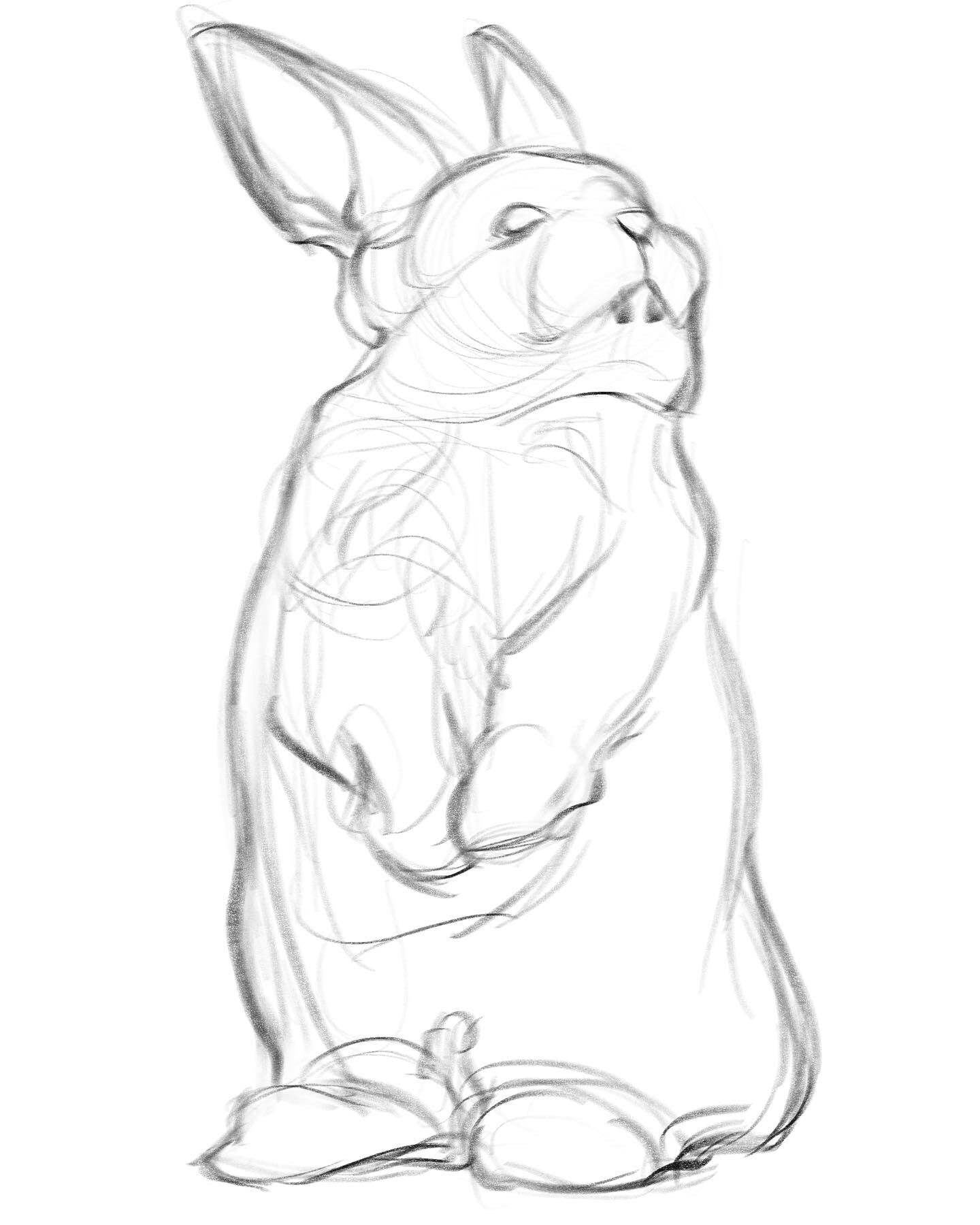 how to draw a vampire rabbit