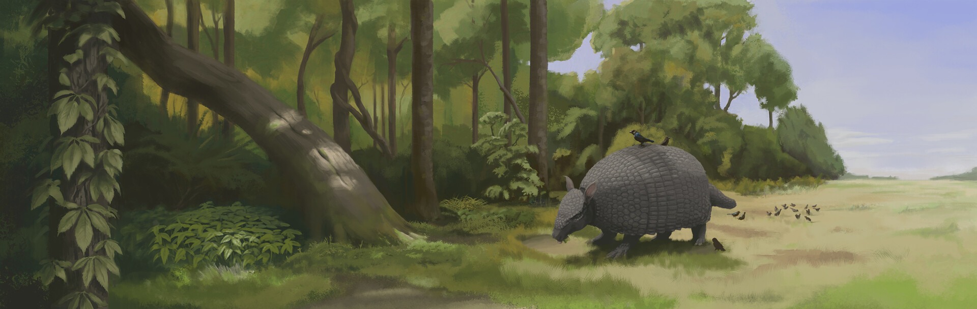 giant armadillo extinct