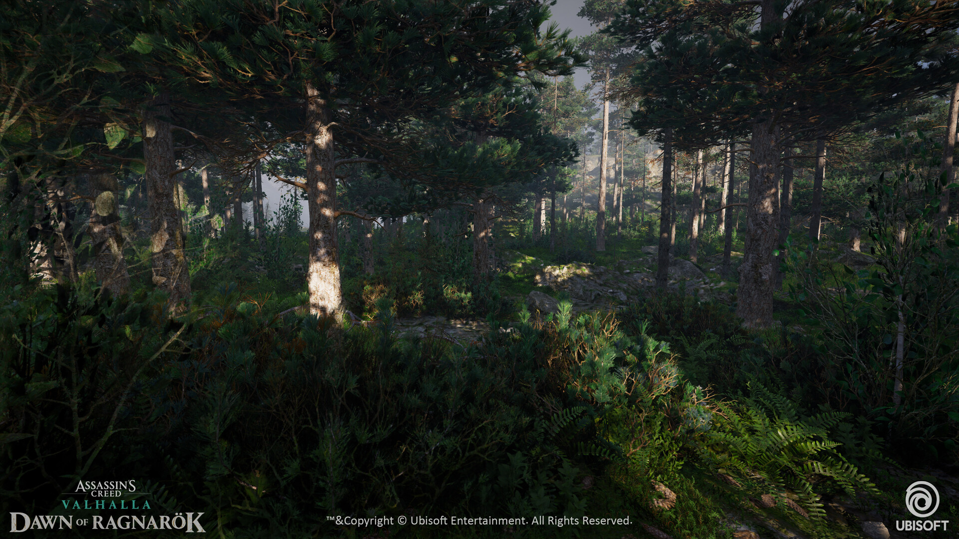 Samuil Munis - Taiga Forest - Assassin's Creed Valhalla: Dawn of Ragnarok