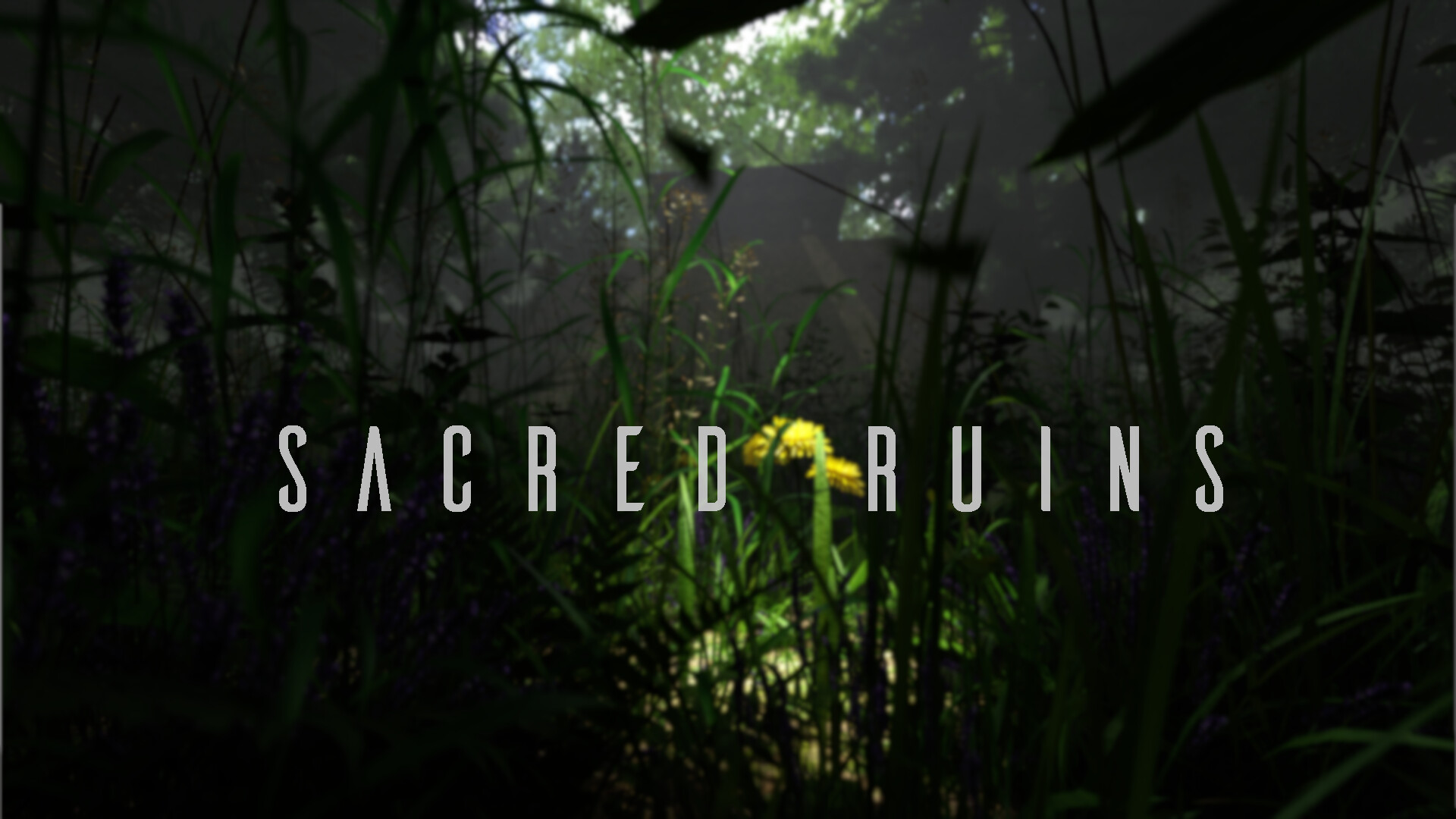 ArtStation - Sacred Ruins