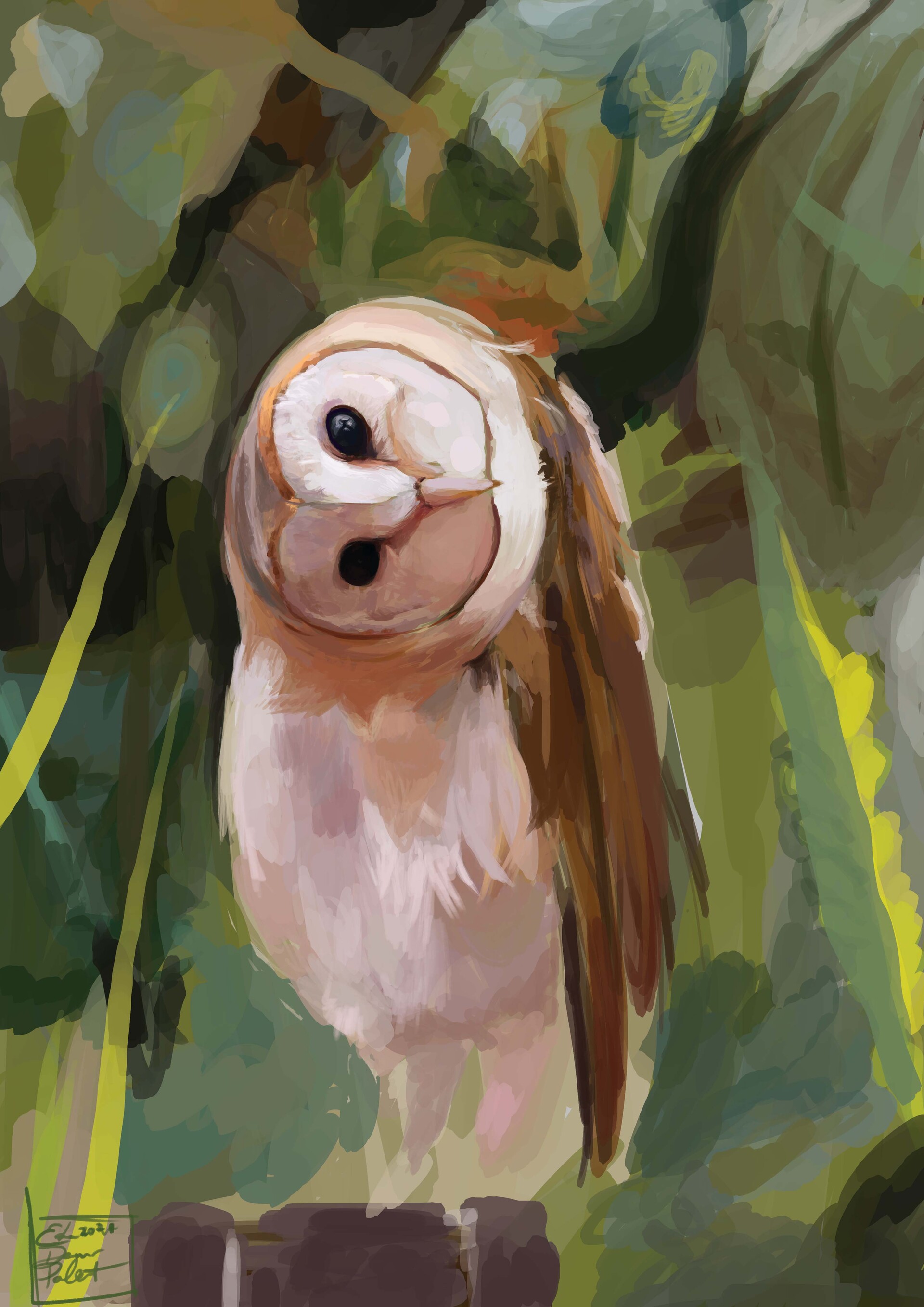 ArtStation - Owl - practice