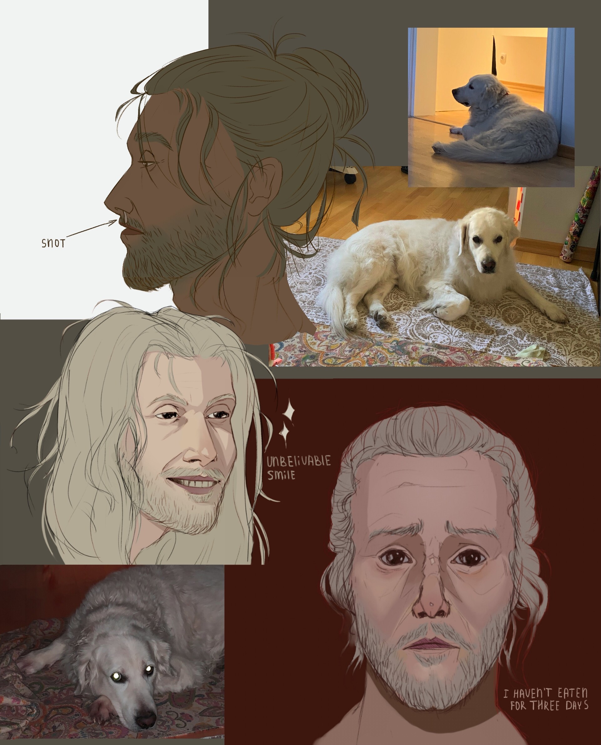 ArtStation - My dog as a human