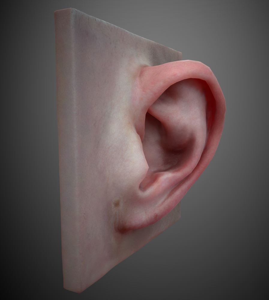 ArtStation - Ear study