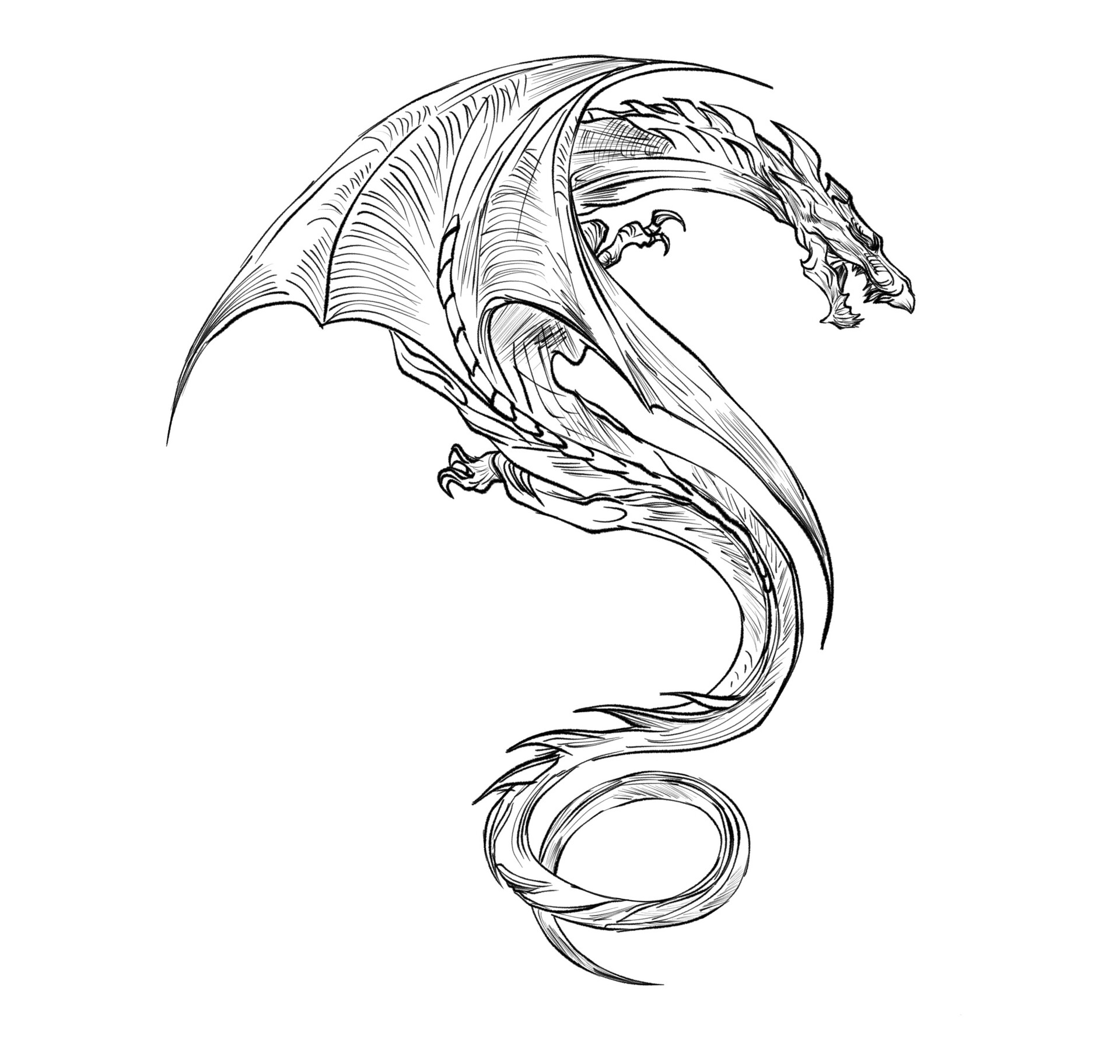 dragon tattoo coloring pages