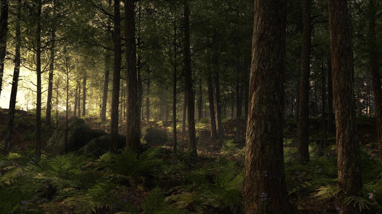 ArtStation - Forest Concept 01