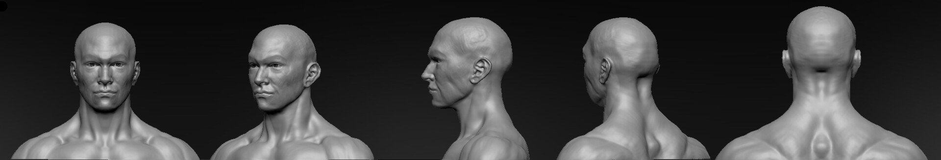 ArtStation - Human Anatomy (Male)