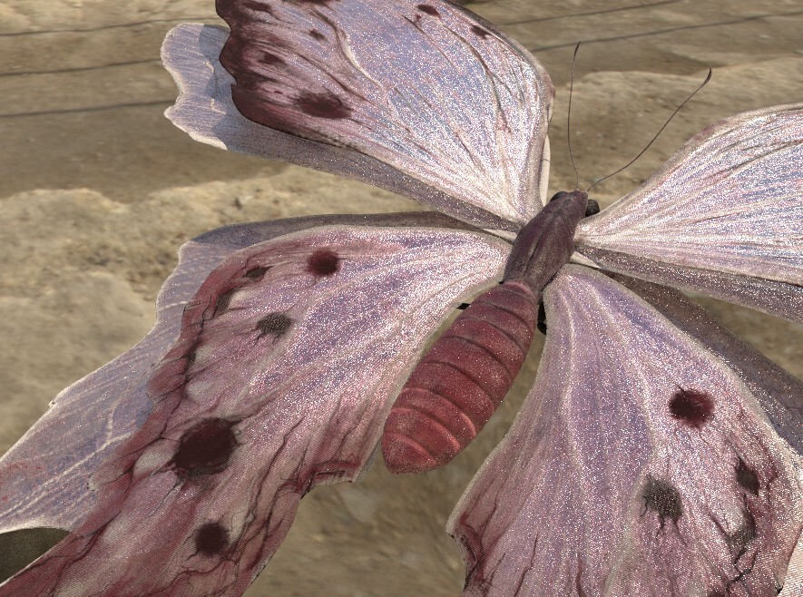 Beichen Hu - Butterfly