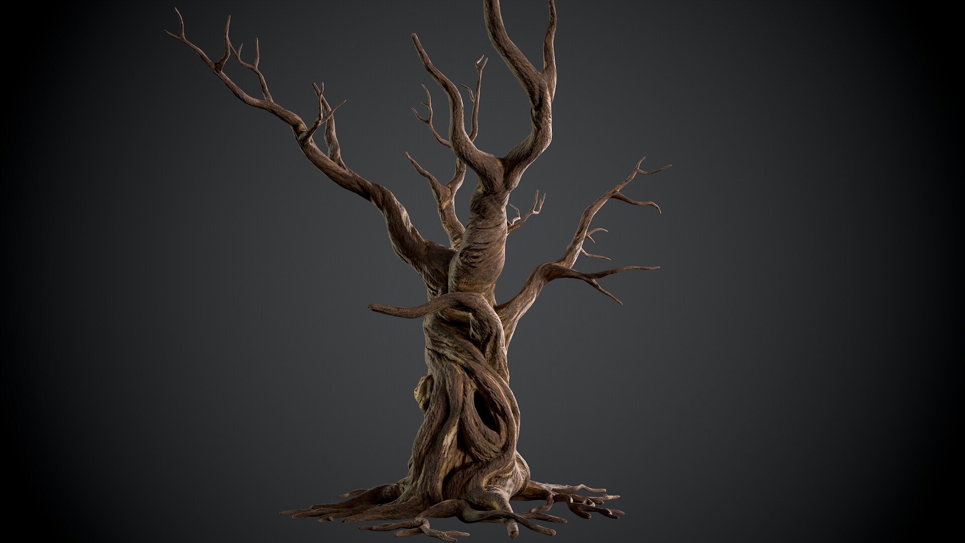 ArtStation - old tree