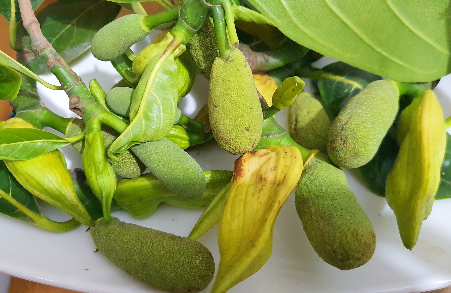 ArtStation - Shin Yan