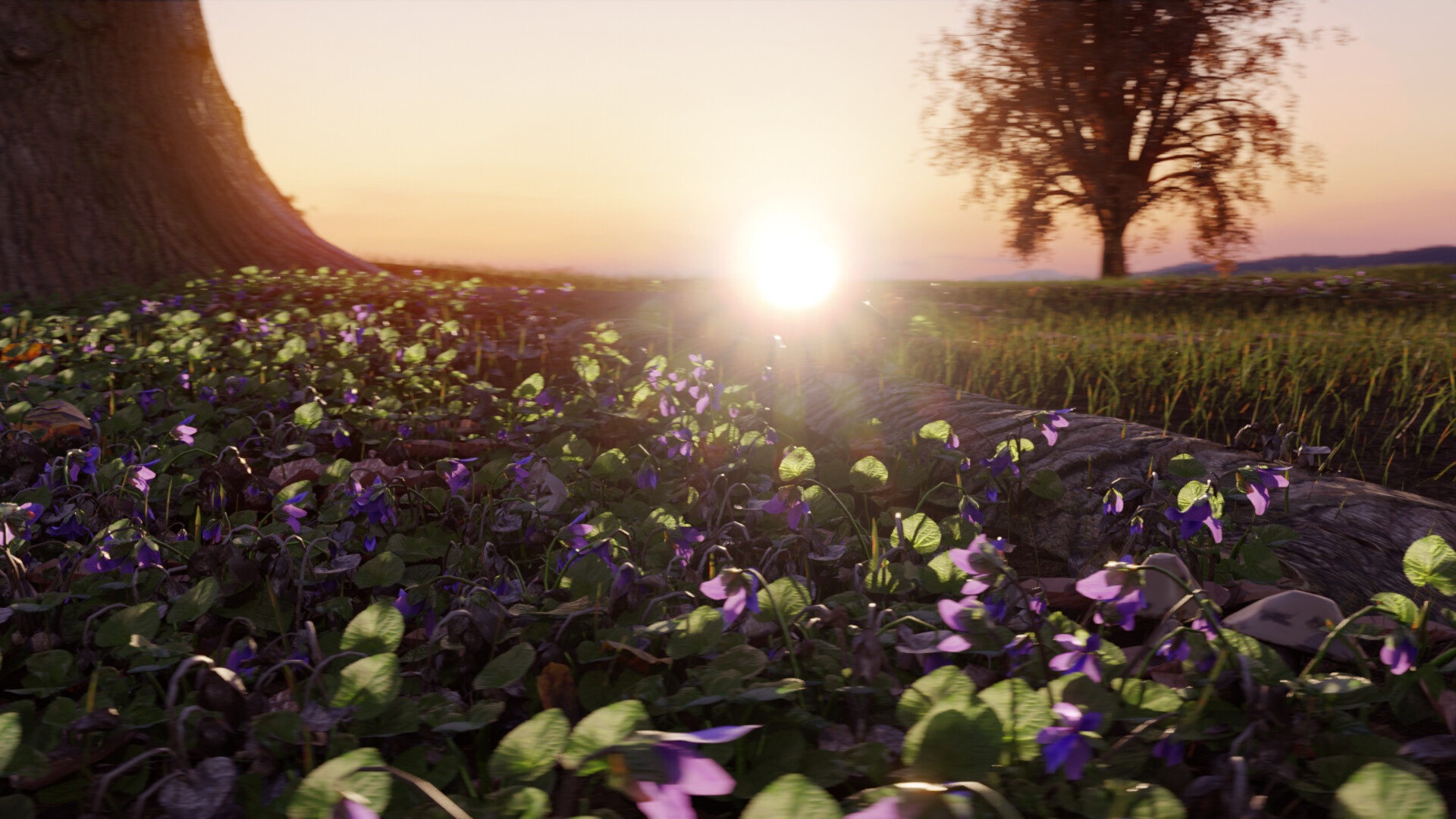 ArtStation - Wood Violets