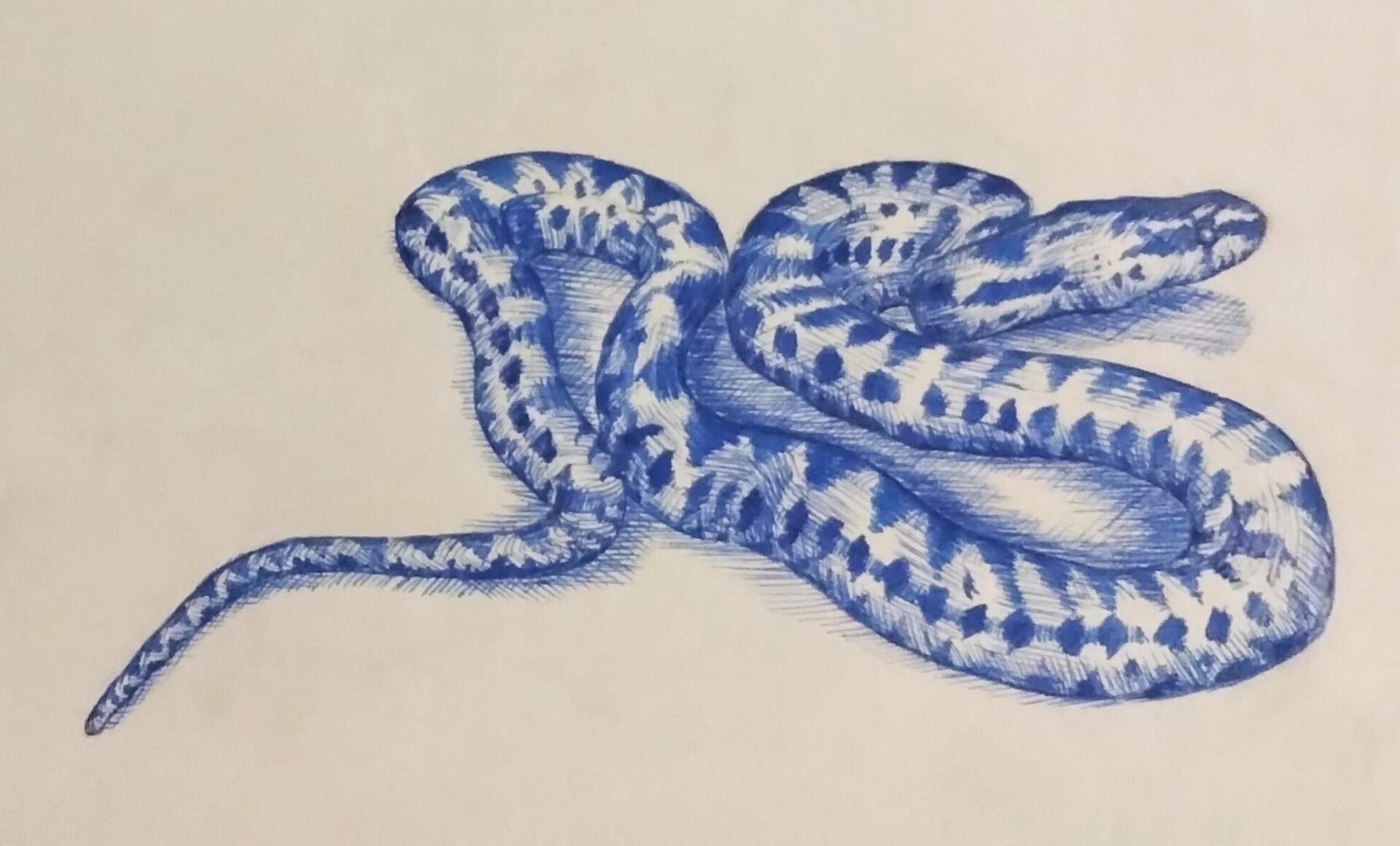 ArtStation - Blotched snake