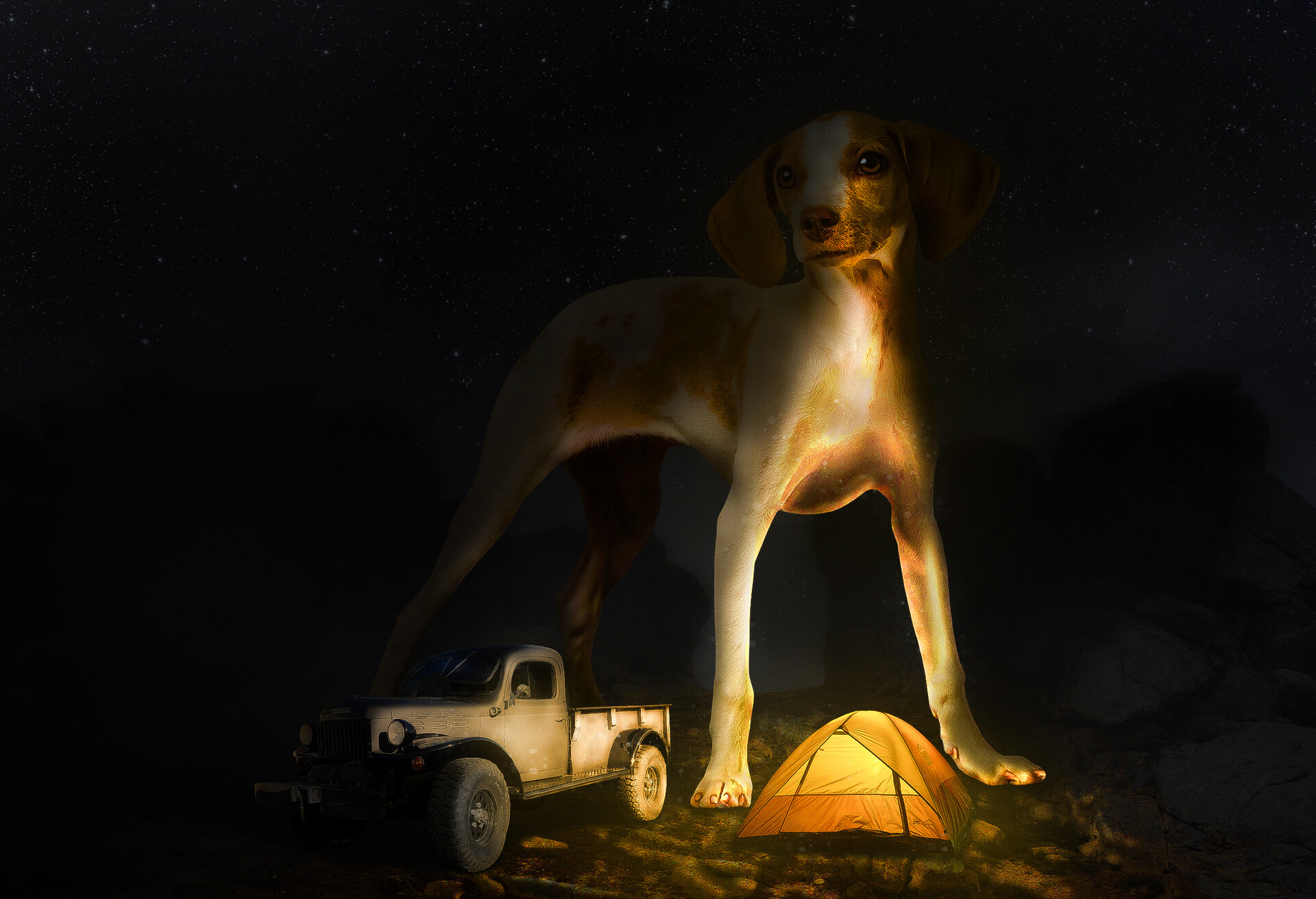 ArtStation - Doggo