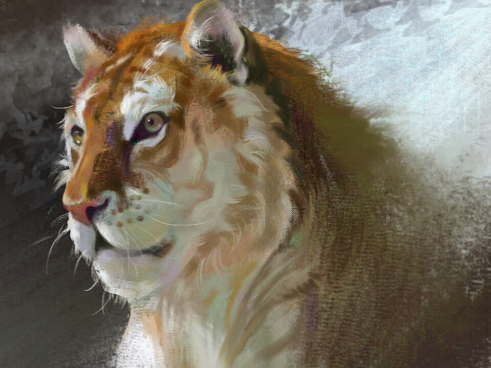 ArtStation - tiger