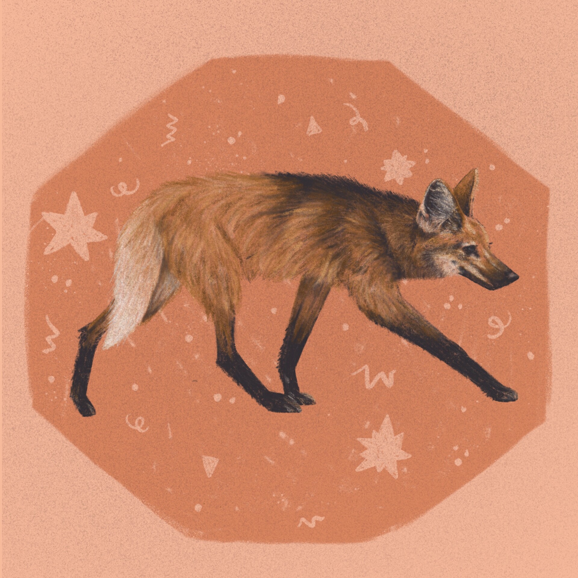 ArtStation - maned wolf