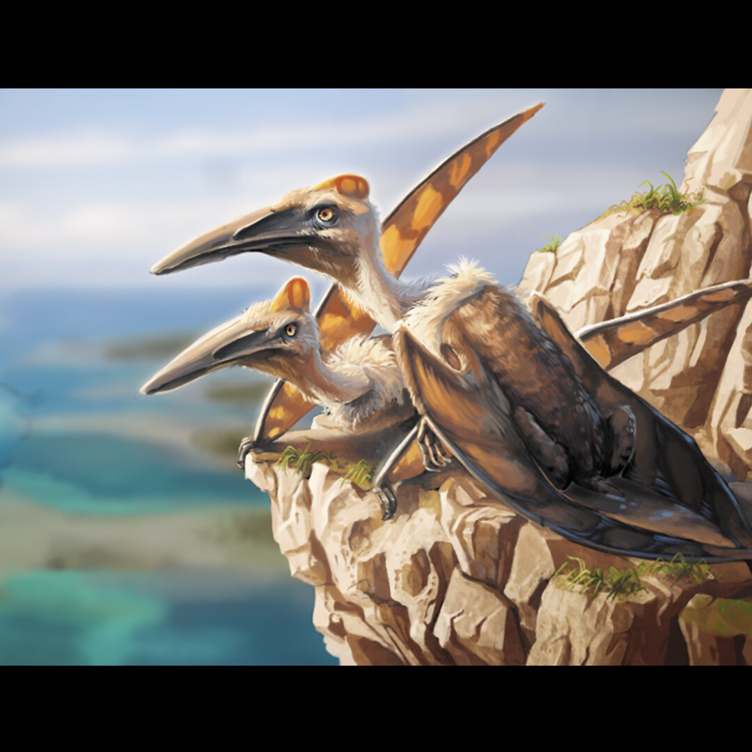 ArtStation - Pterodactyle