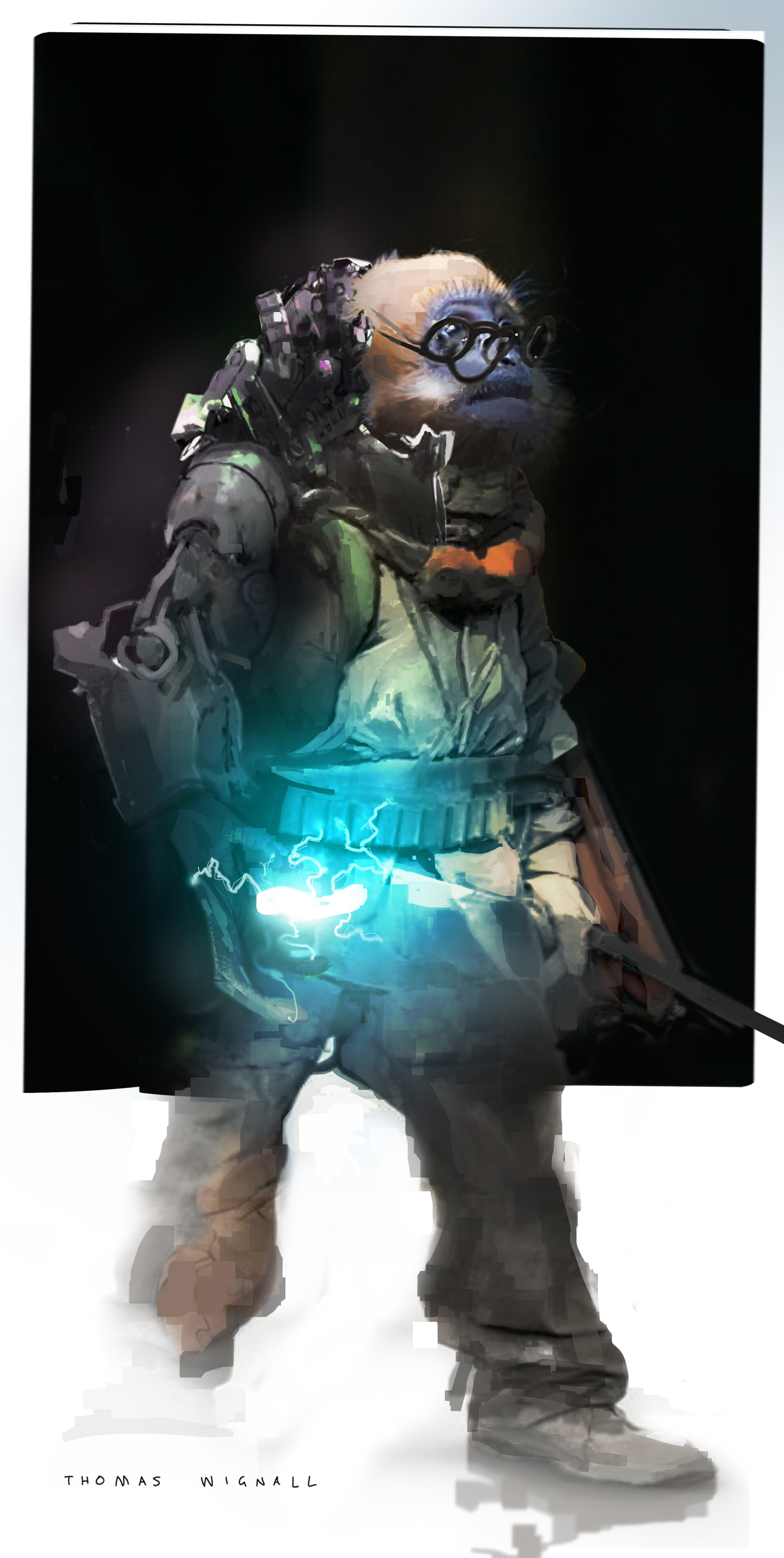 ArtStation - Wizard Monkey