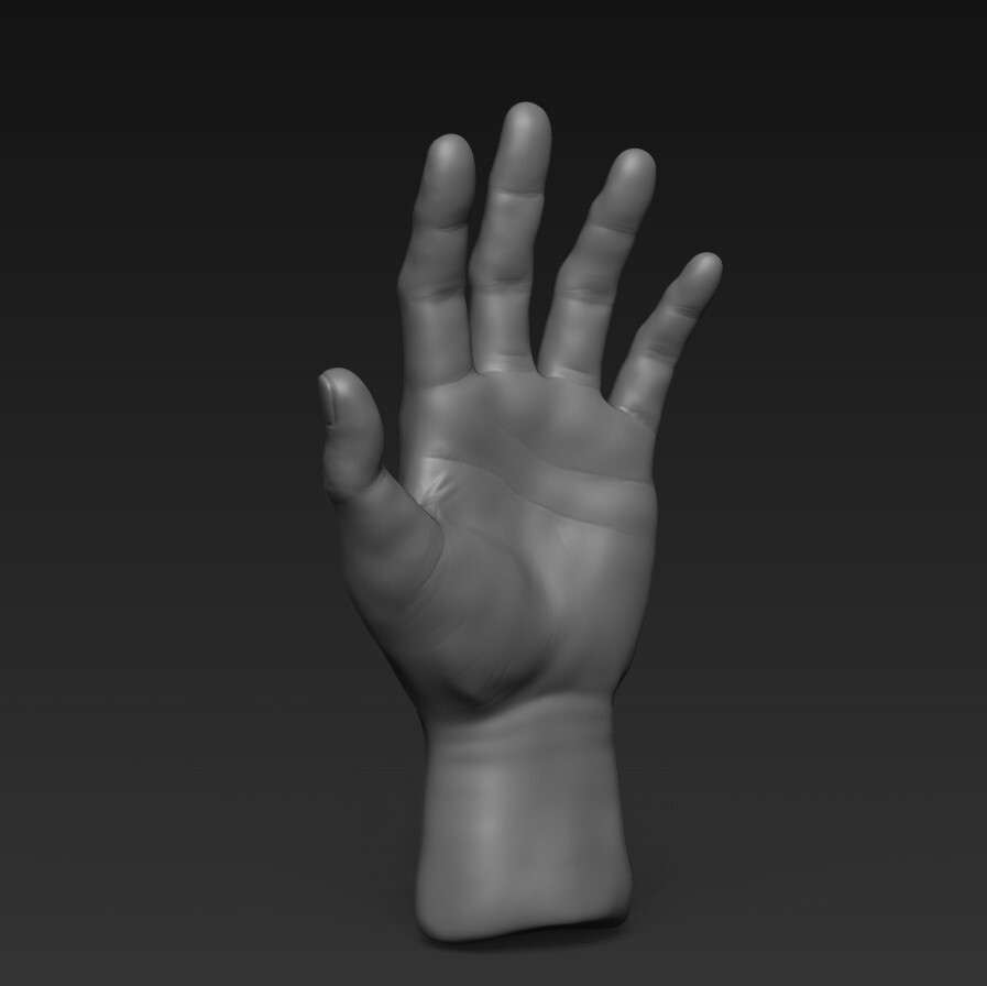 ArtStation - Human hand anatomy