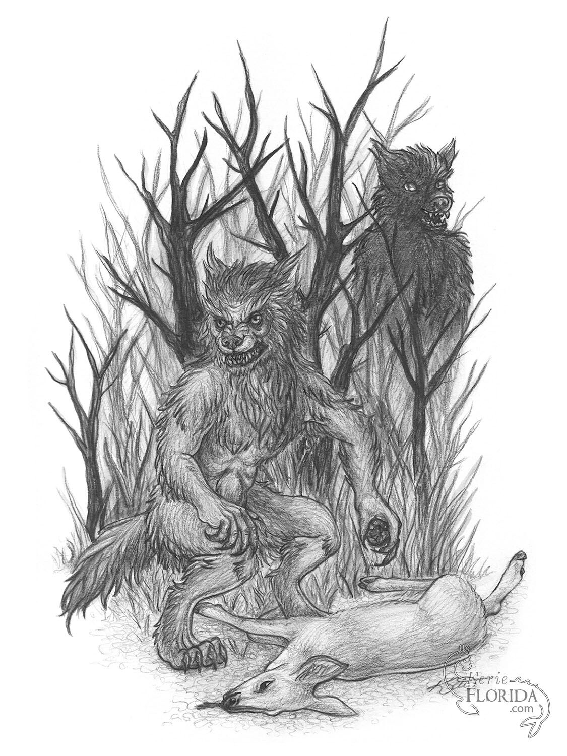 Kari Schultz - Dogmen