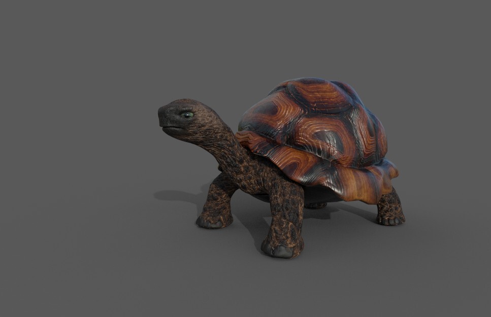 ArtStation - Tortoise