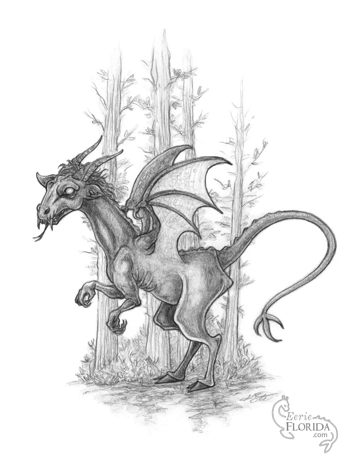 Kari Schultz - Jersey Devil