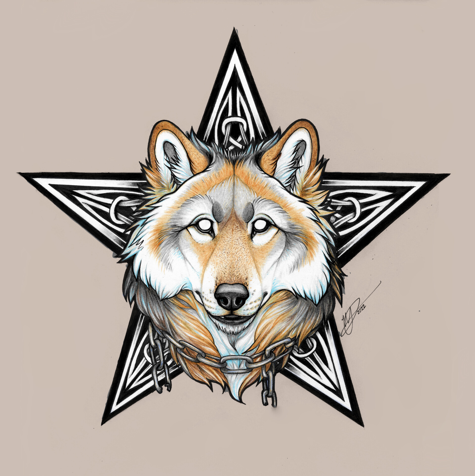 ArtStation - Star Wolf Design