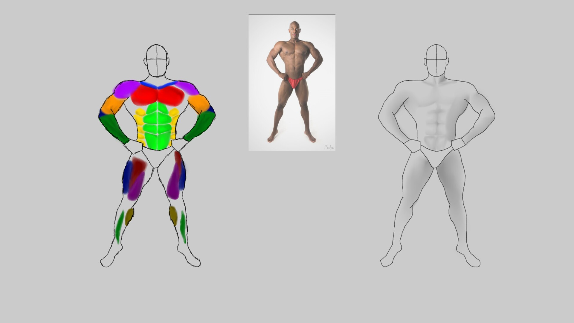 Halo Exercise Muscles Worked | lupon.gov.ph