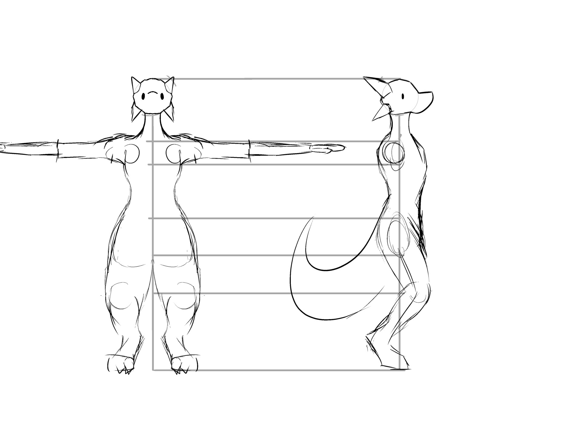 Rain Zezula - Polybold Model