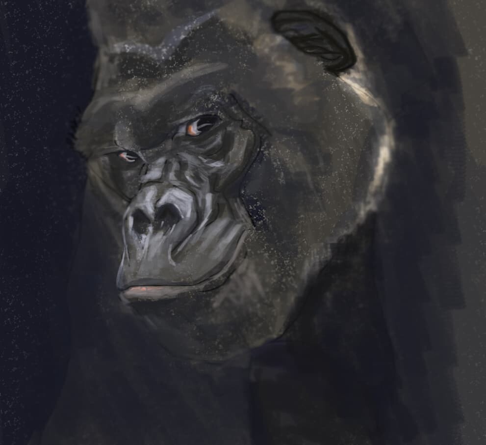 ArtStation - Gorilla