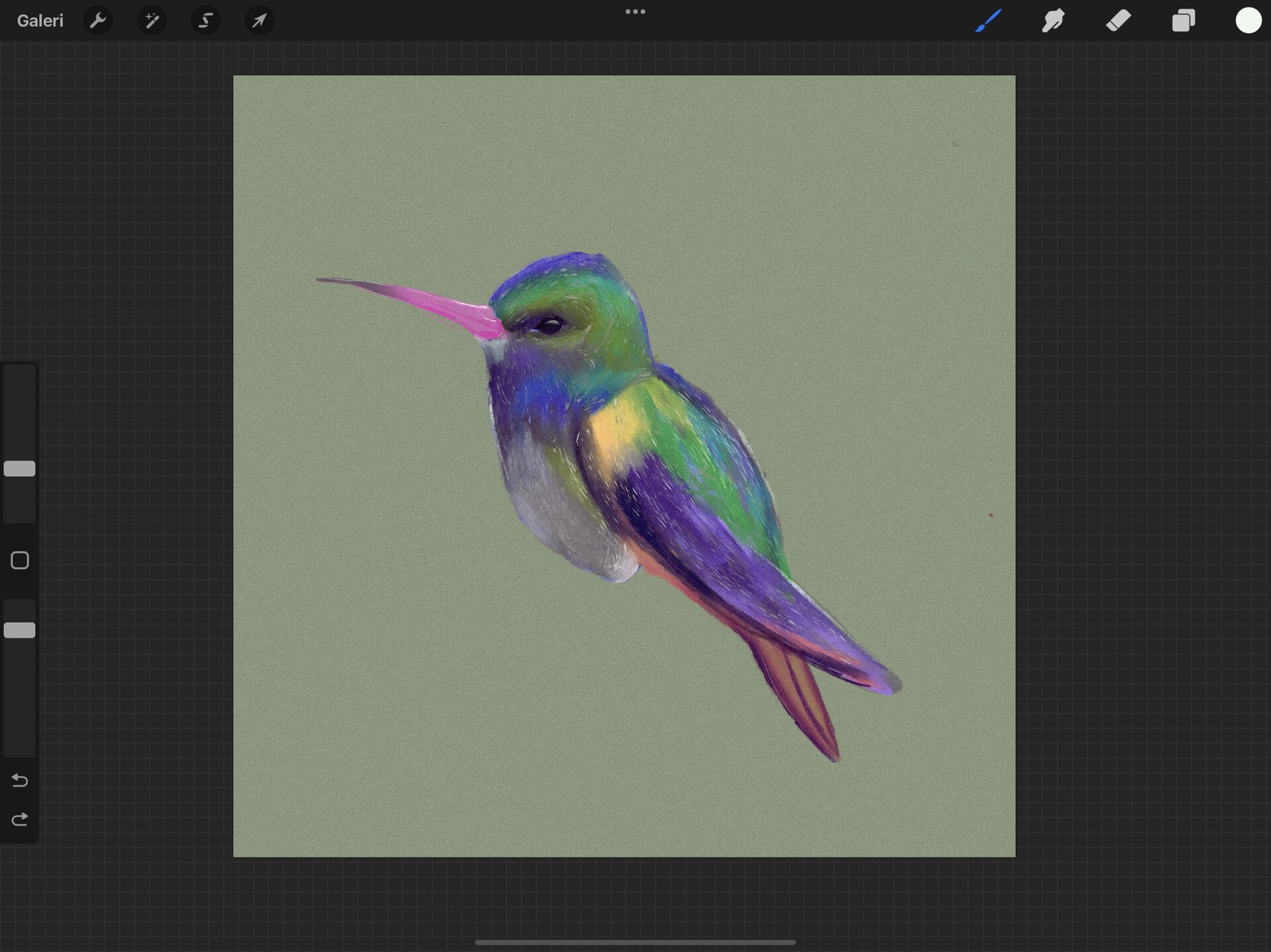ArtStation - hummingbird