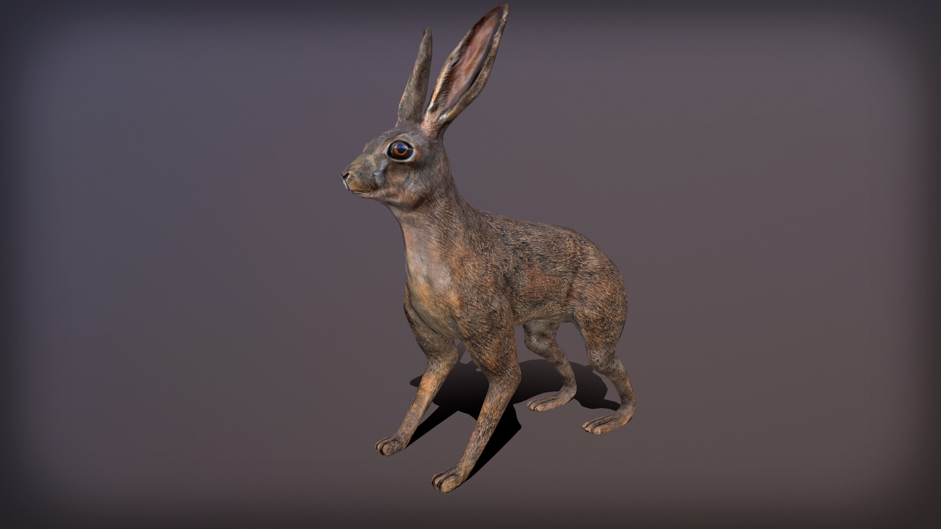ArtStation - Hare