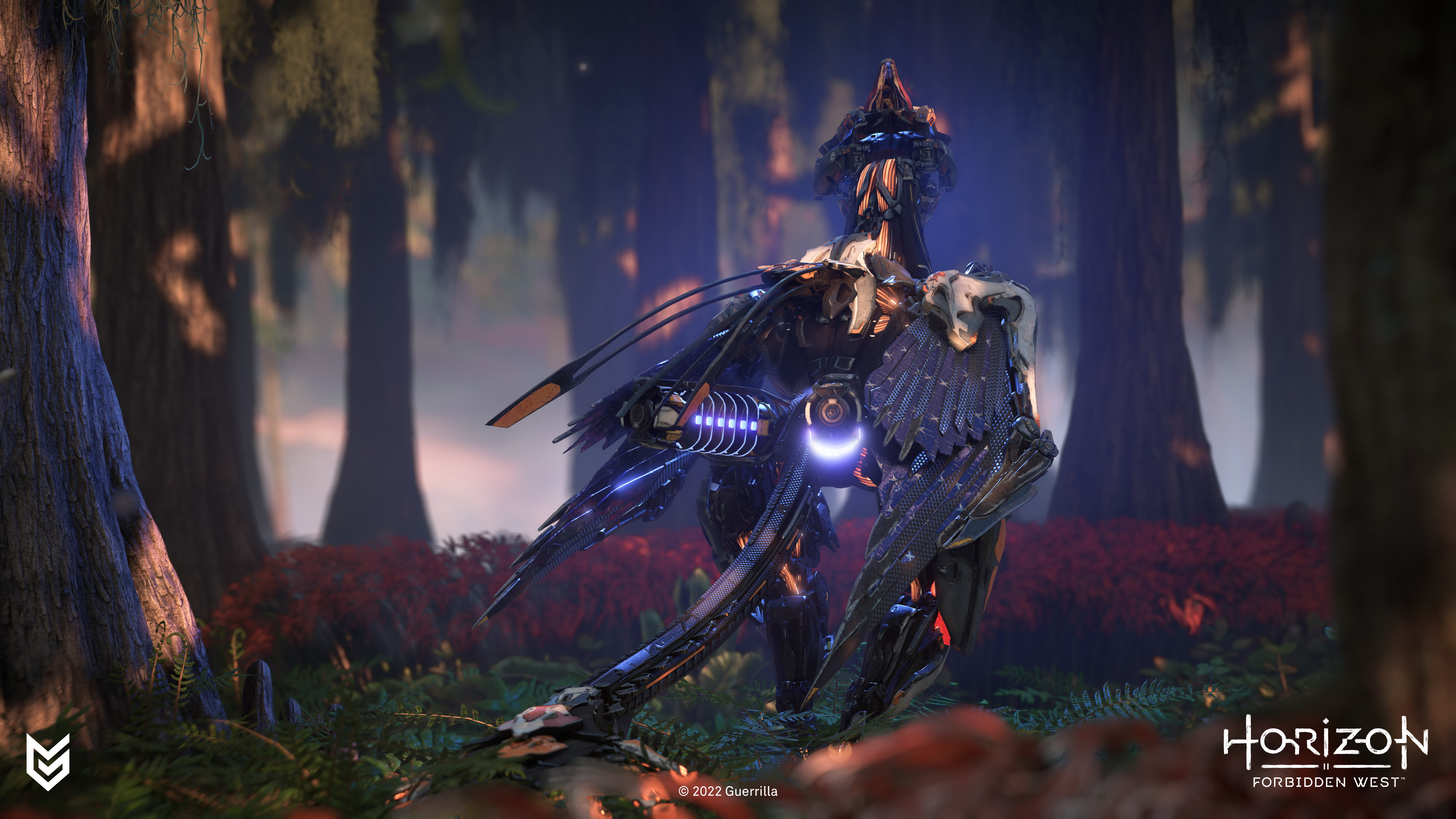 Nazz Abdoel - Skydrifter