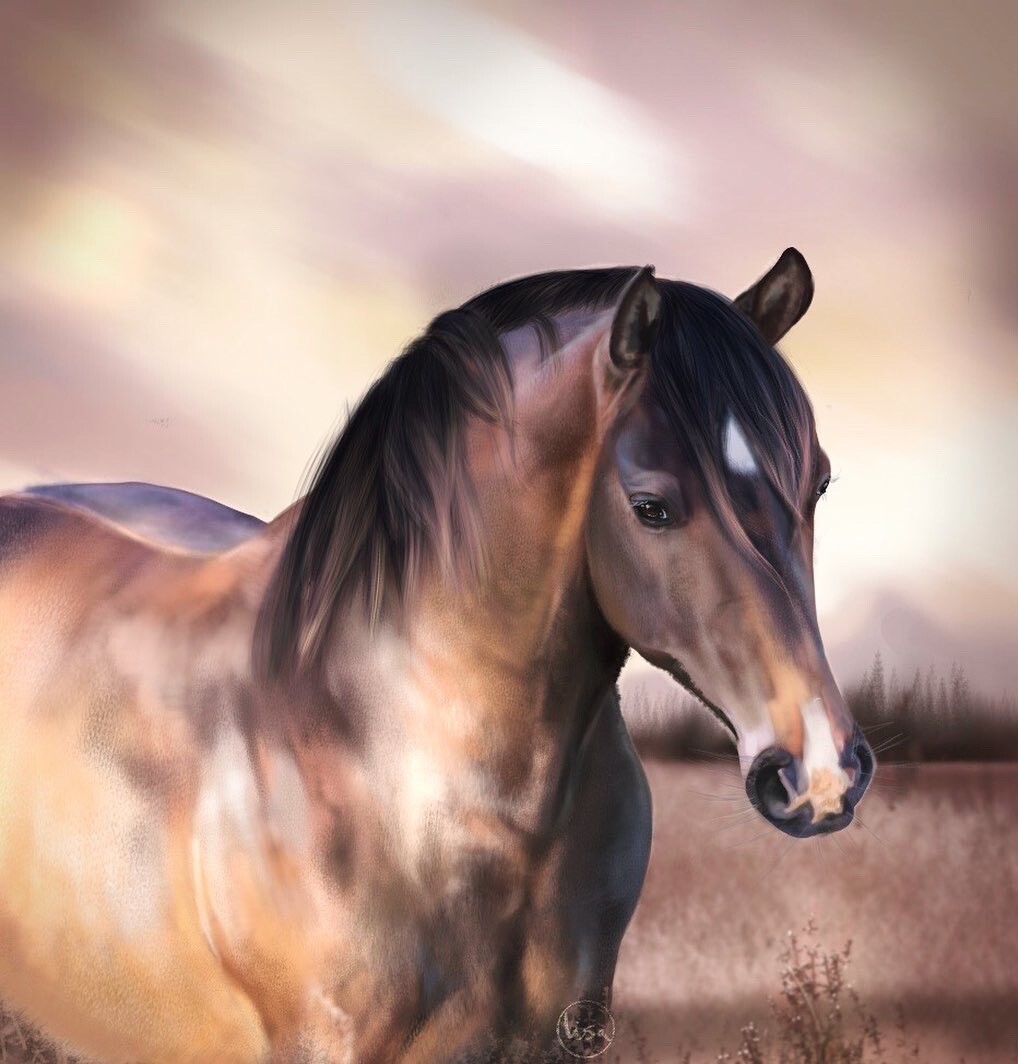 ArtStation - Horse drawing