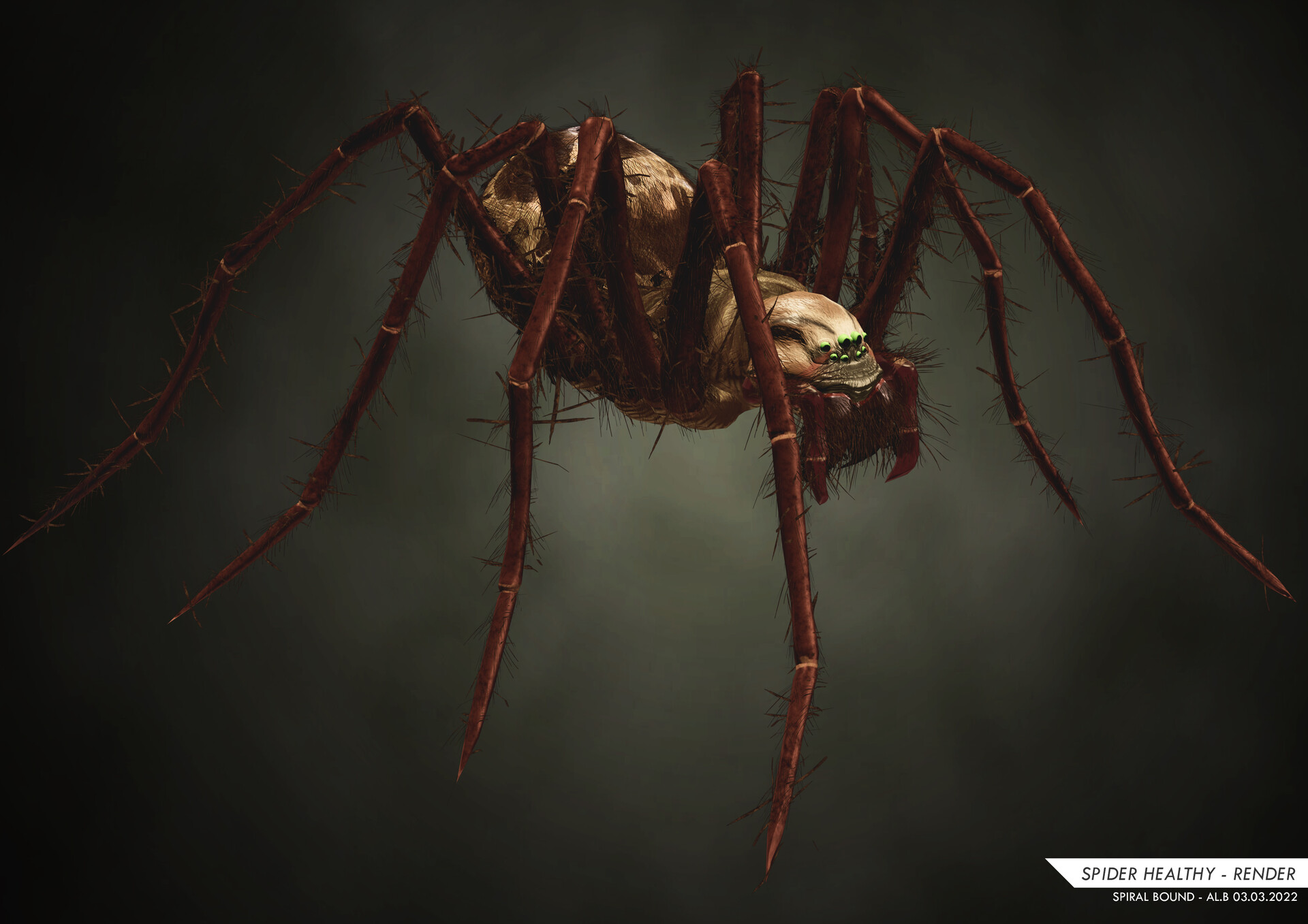 ArtStation - SPIDER - Stylized Game Ready Creature 2022