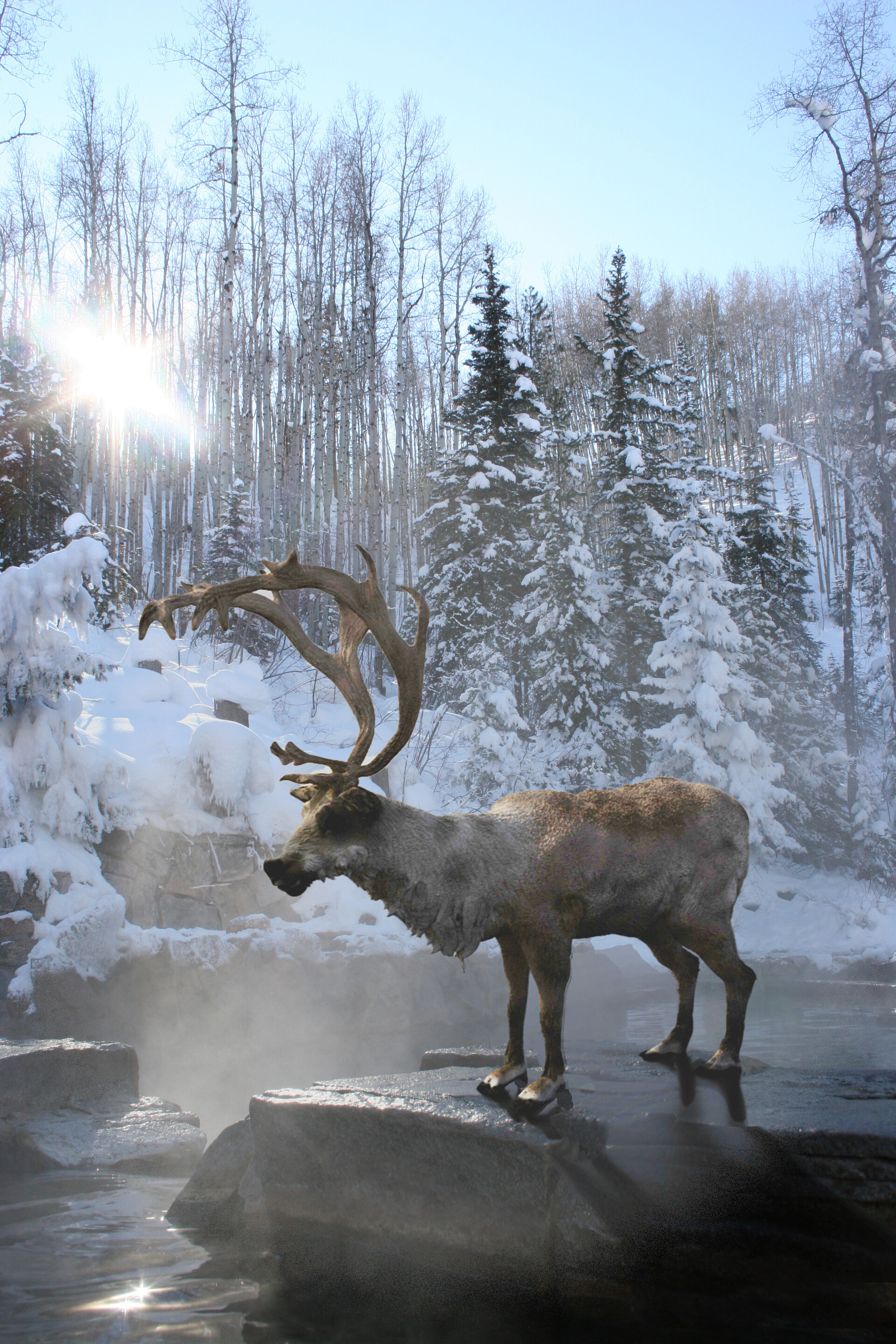ArtStation - Reindeer