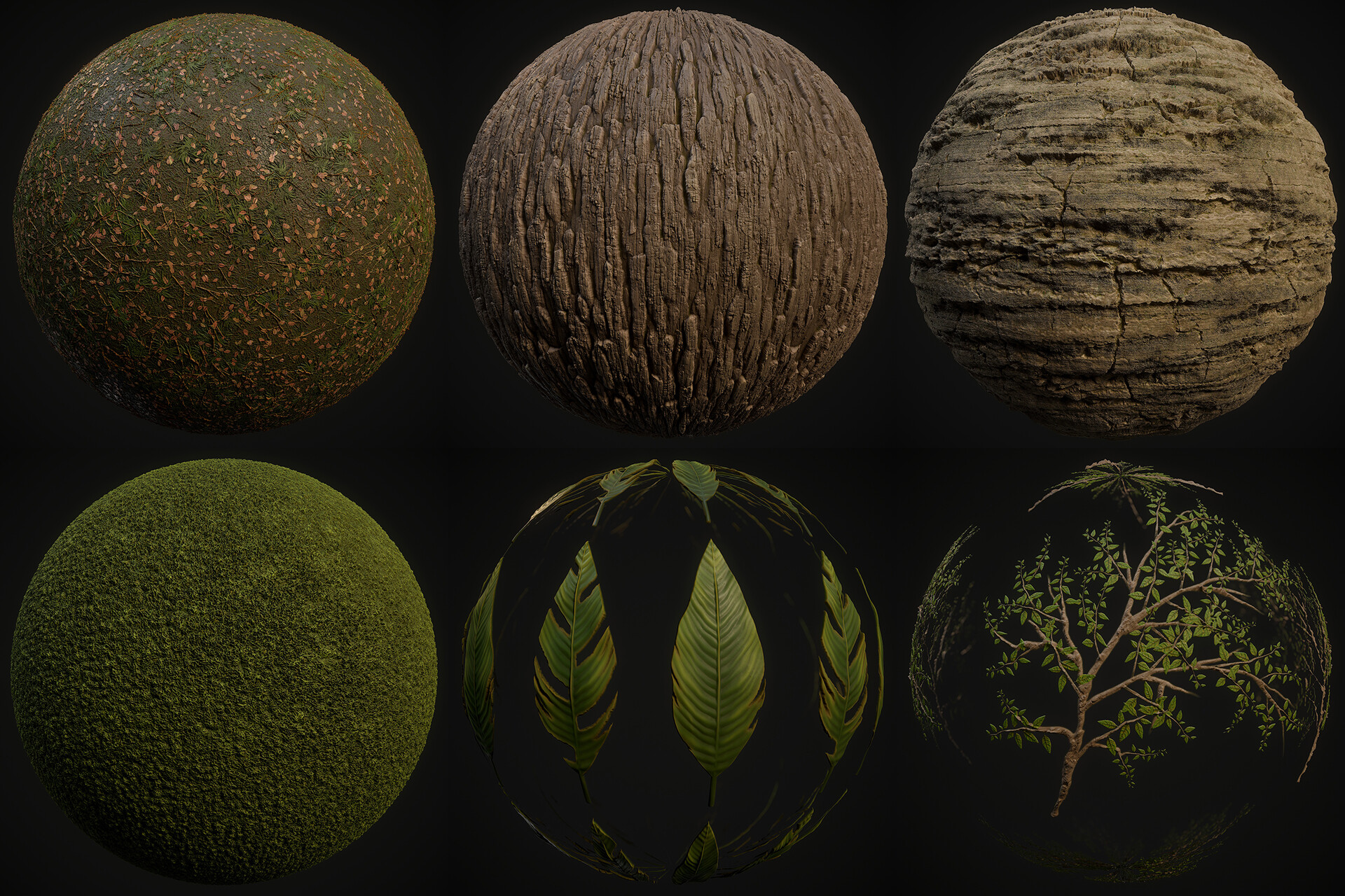 Ryan Dao - Natural Forest Materials