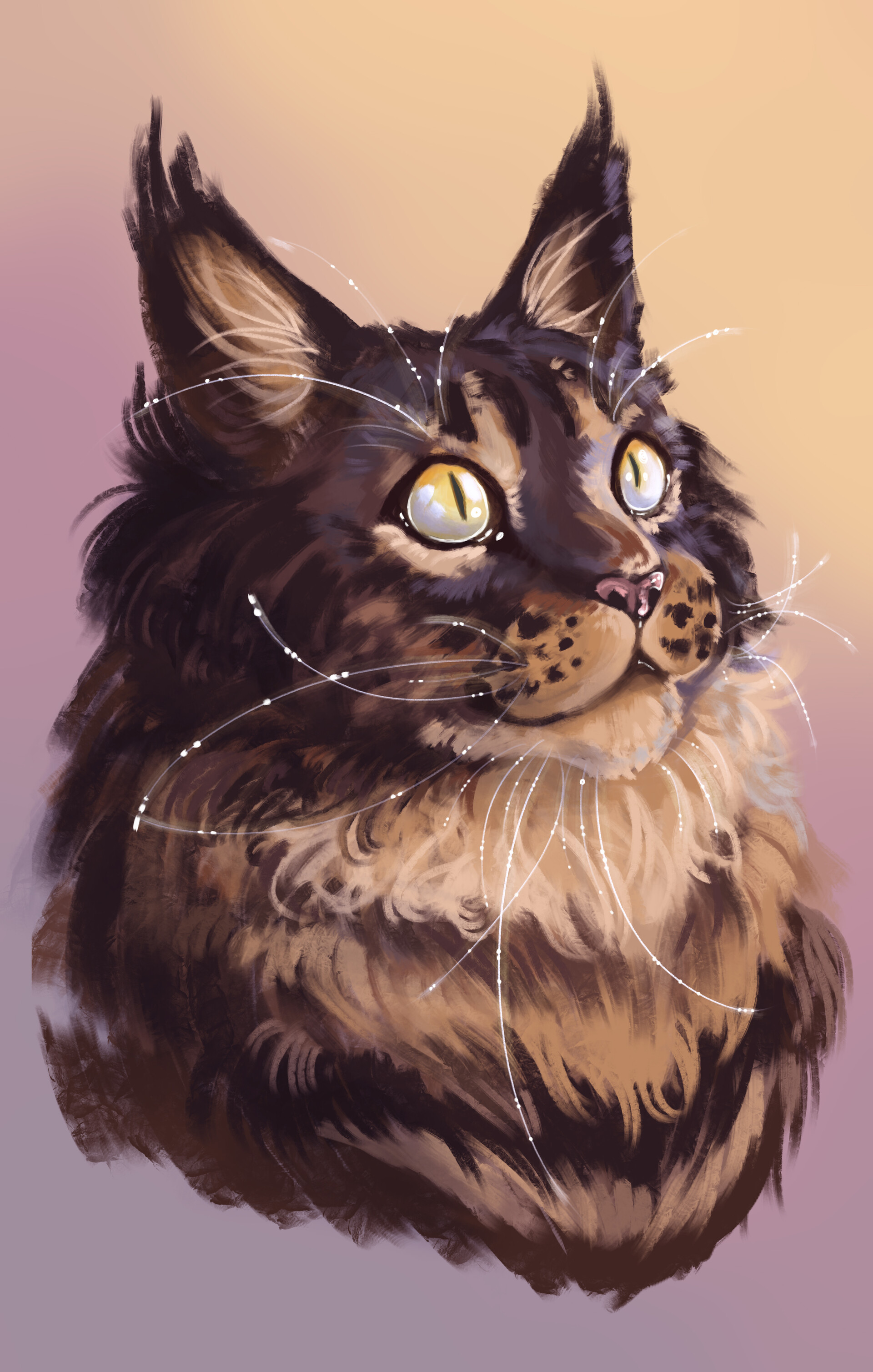 ArtStation - Maine Coon Study