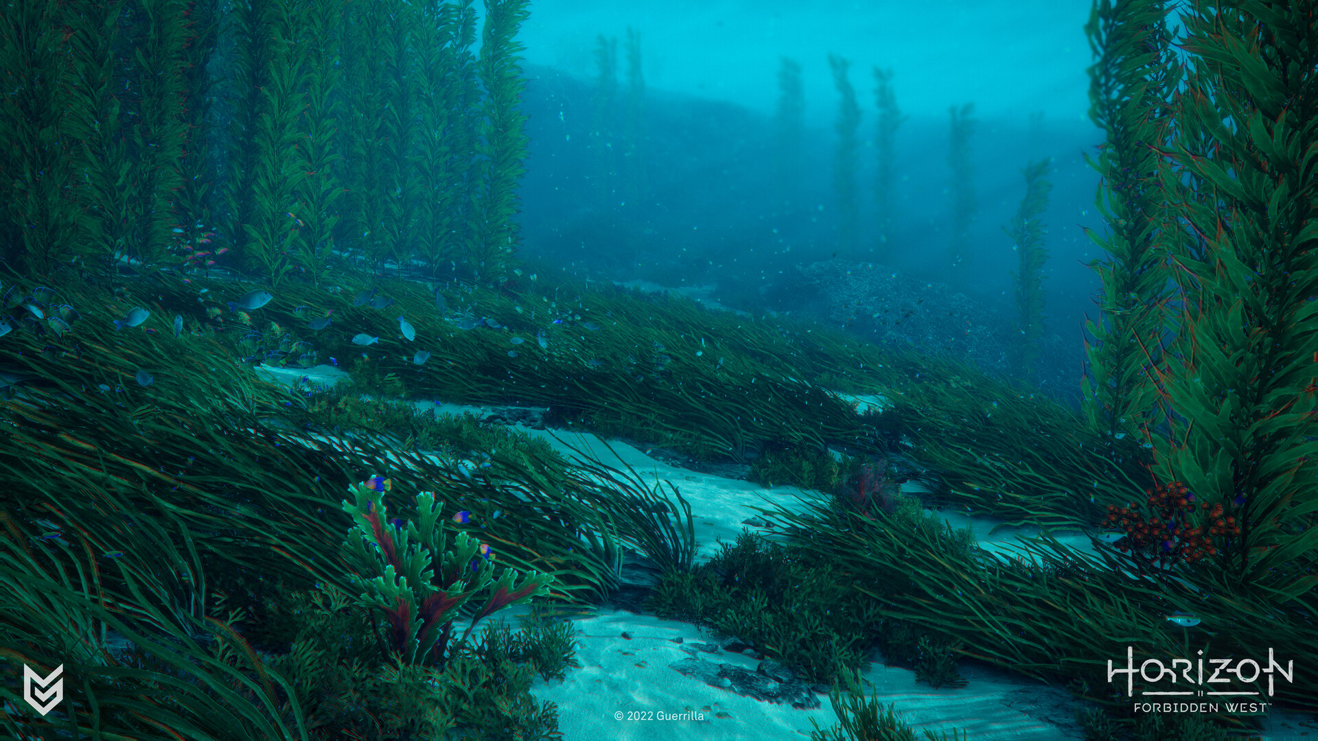 Eva Tajovska - Horizon Forbidden West – Natural Environments