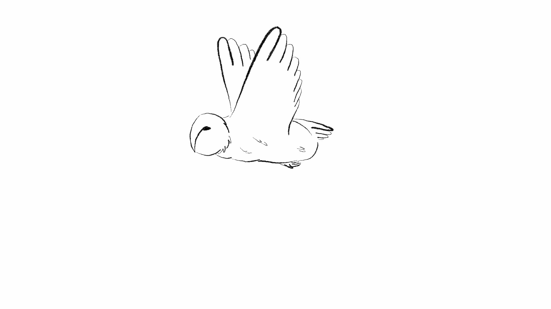 ArtStation - Owl Flight Cycle