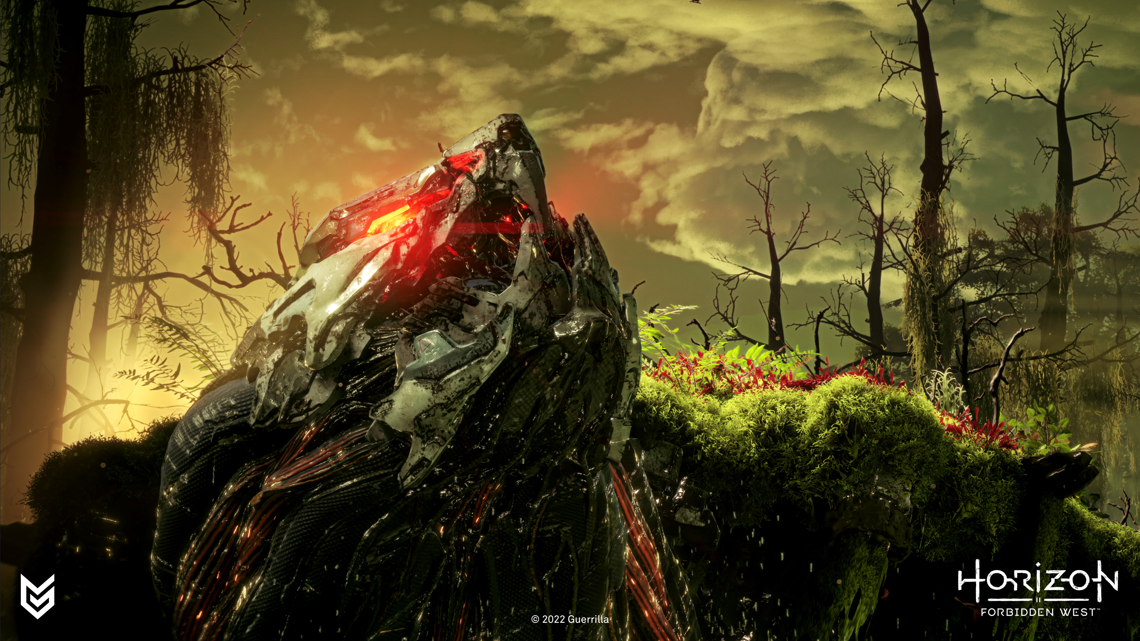 Nazz Abdoel - ShellSnapper