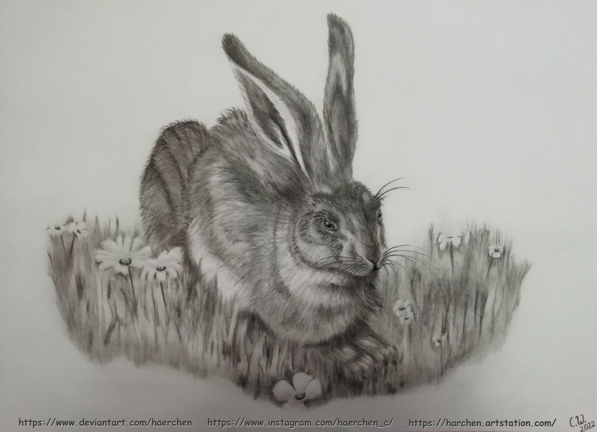 ArtStation - Easter Bunny a la Albrecht Duerer