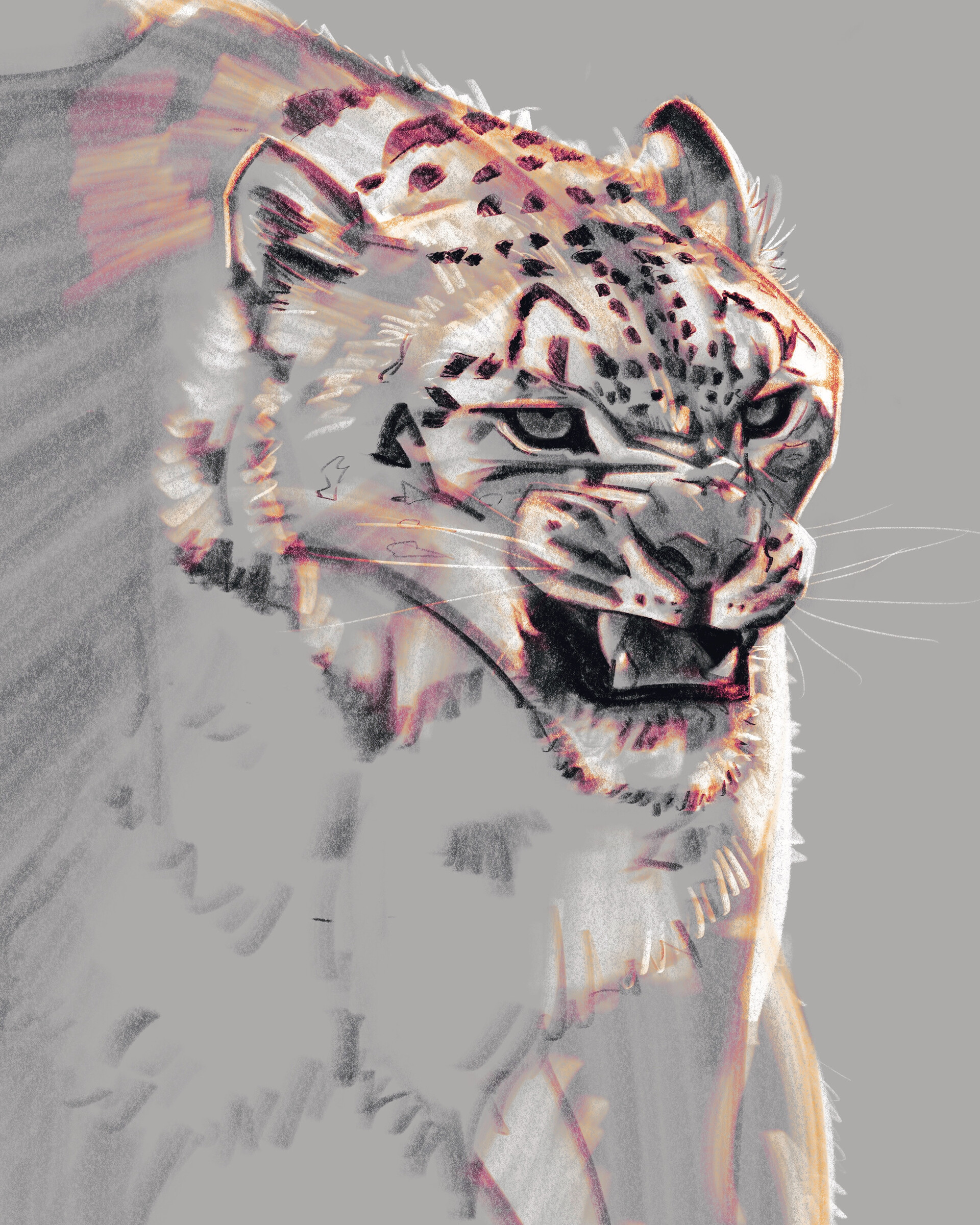 ArtStation - Animal studies