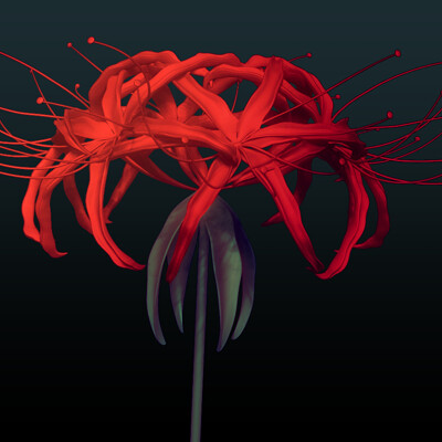 Red Spider Lily Inuyasha