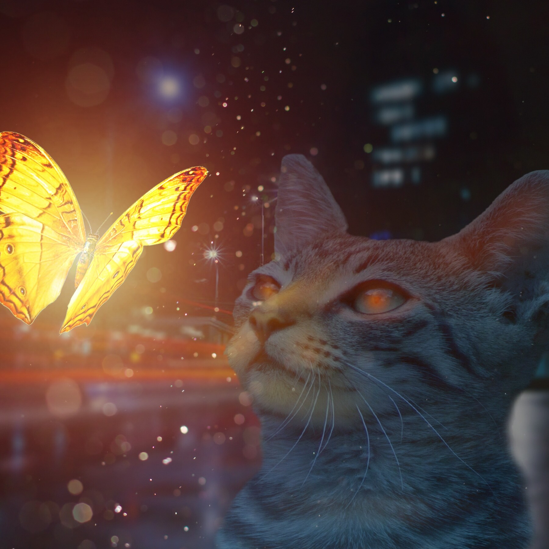 ArtStation - PHOTO Manuplation 😍😍