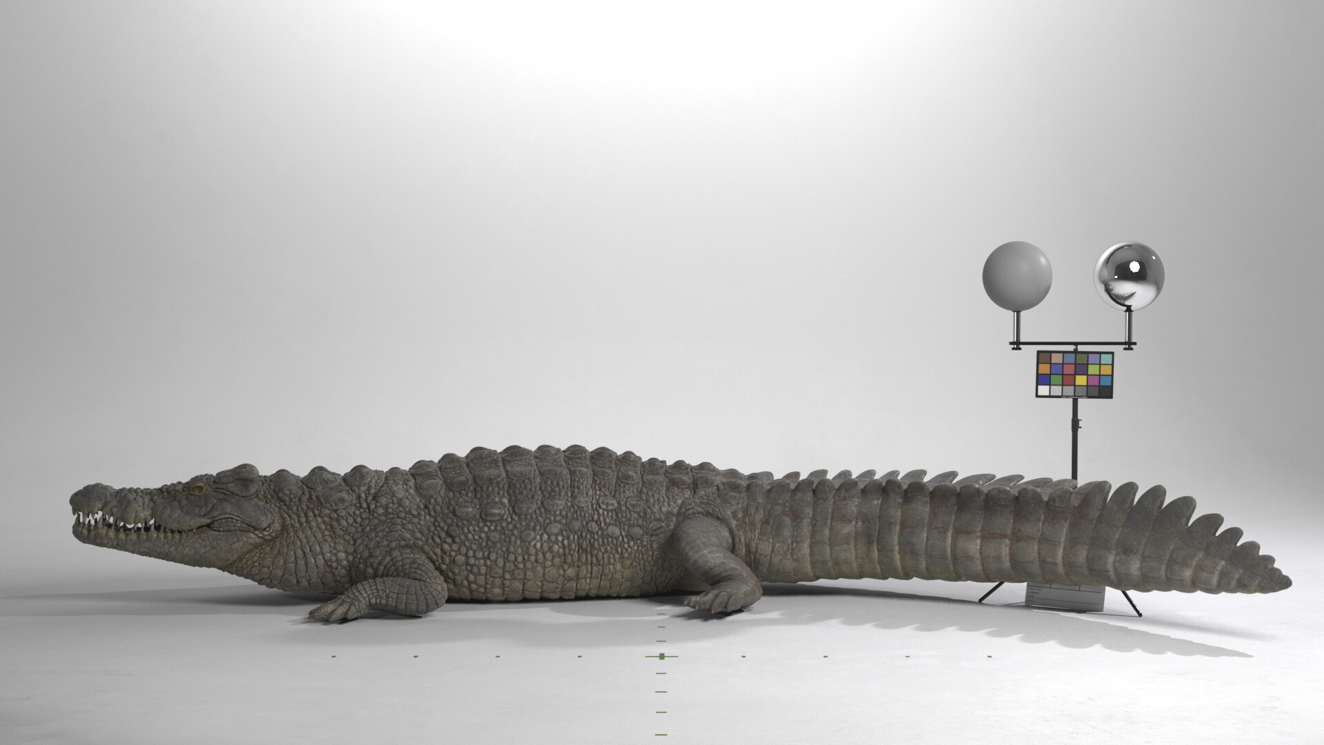 Cryptid The Swamp Beast Crocodile