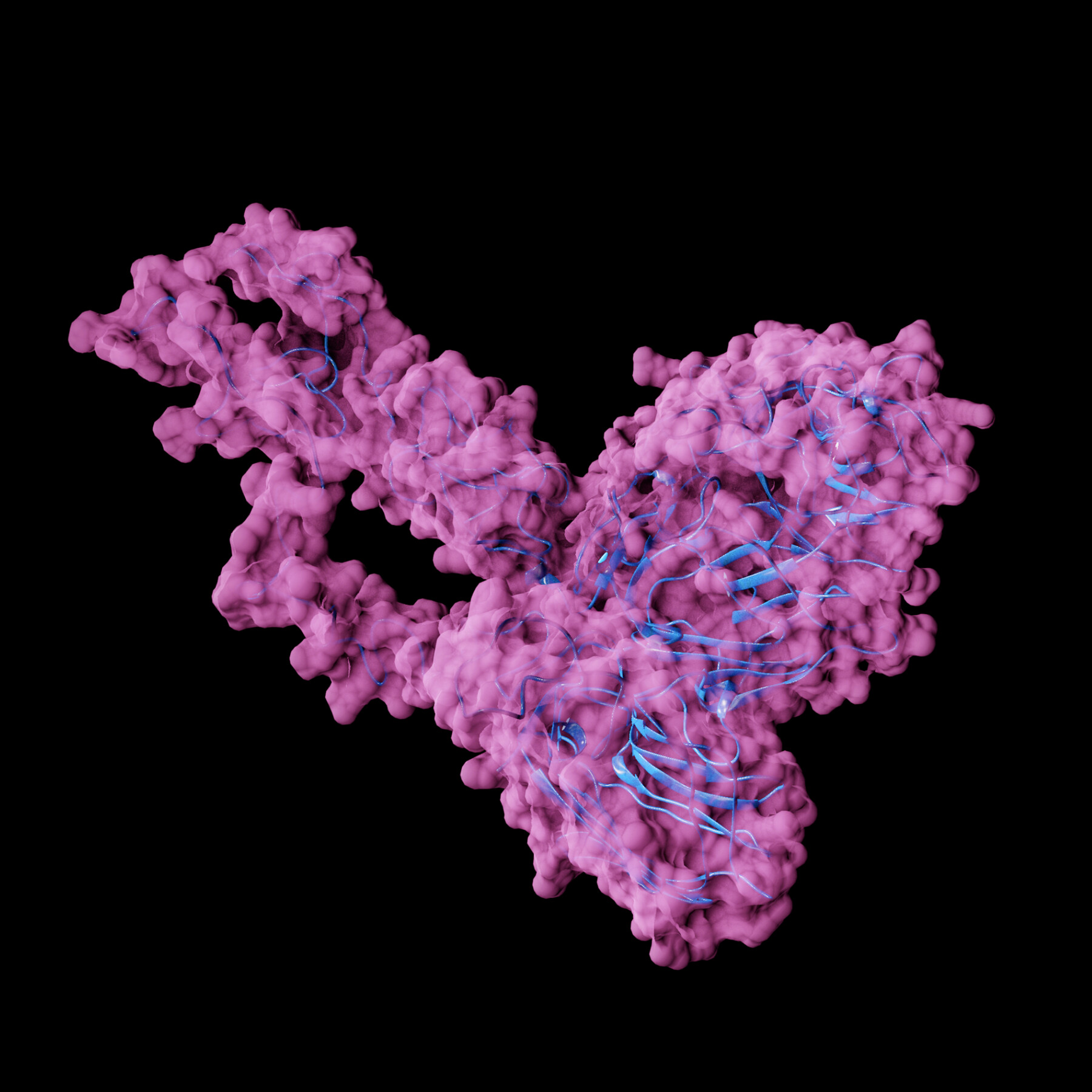 ArtStation - CNTNAP1