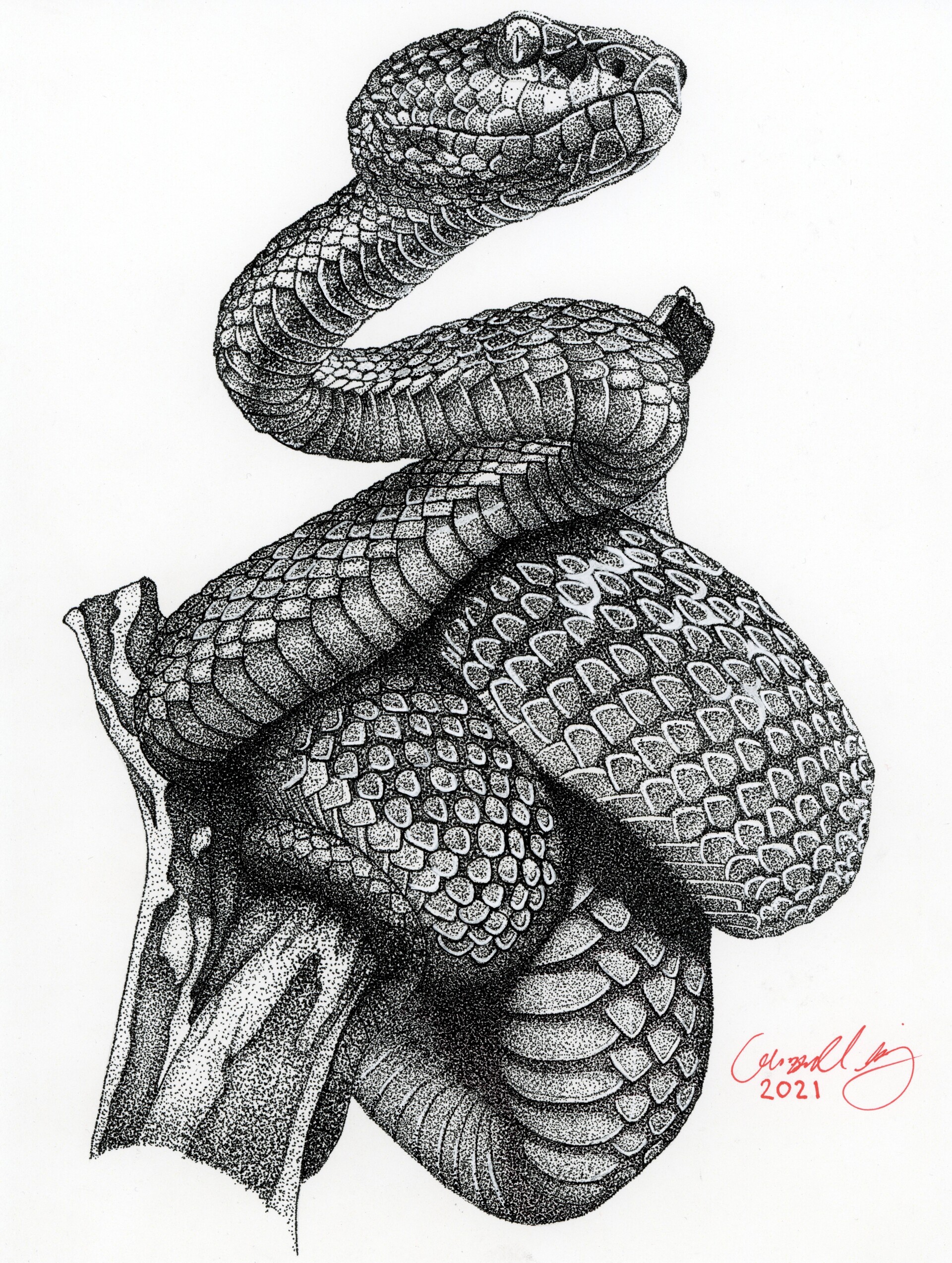 ArtStation - Snake - Pointillism