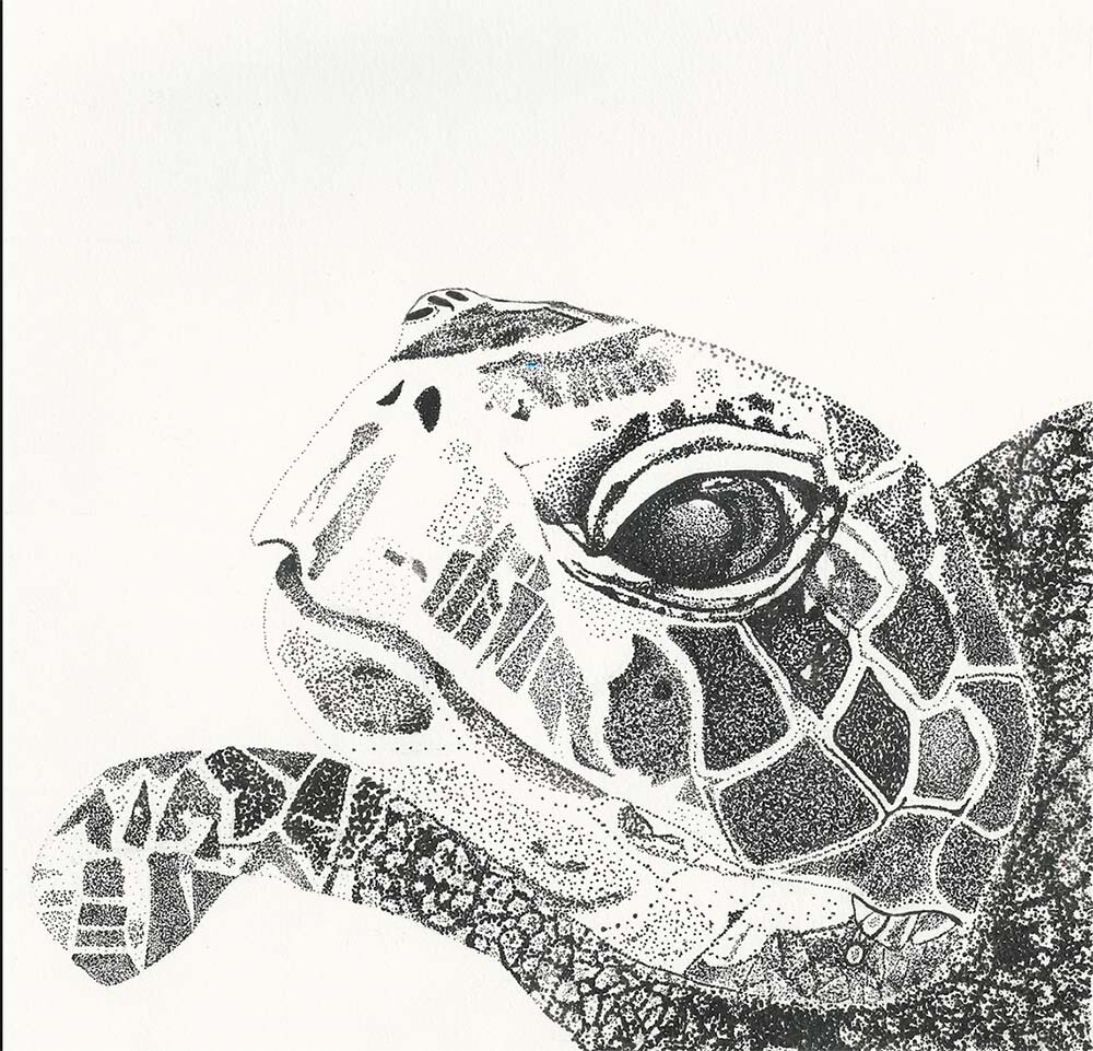 ArtStation - Turtle stippling