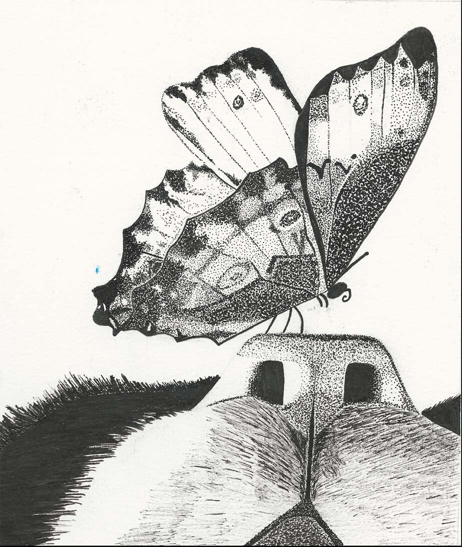 ArtStation - Cat & Butterfly stippling